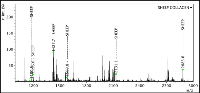 The Science – The Anthropodermic Book Project